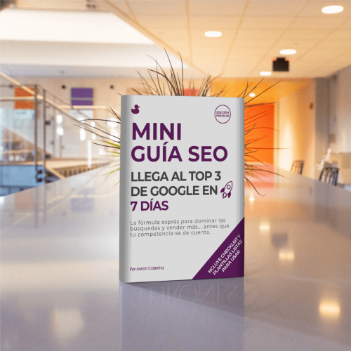 Mini Guía SEO: Llega al Top 3 de Google en 7 días - WebCrece